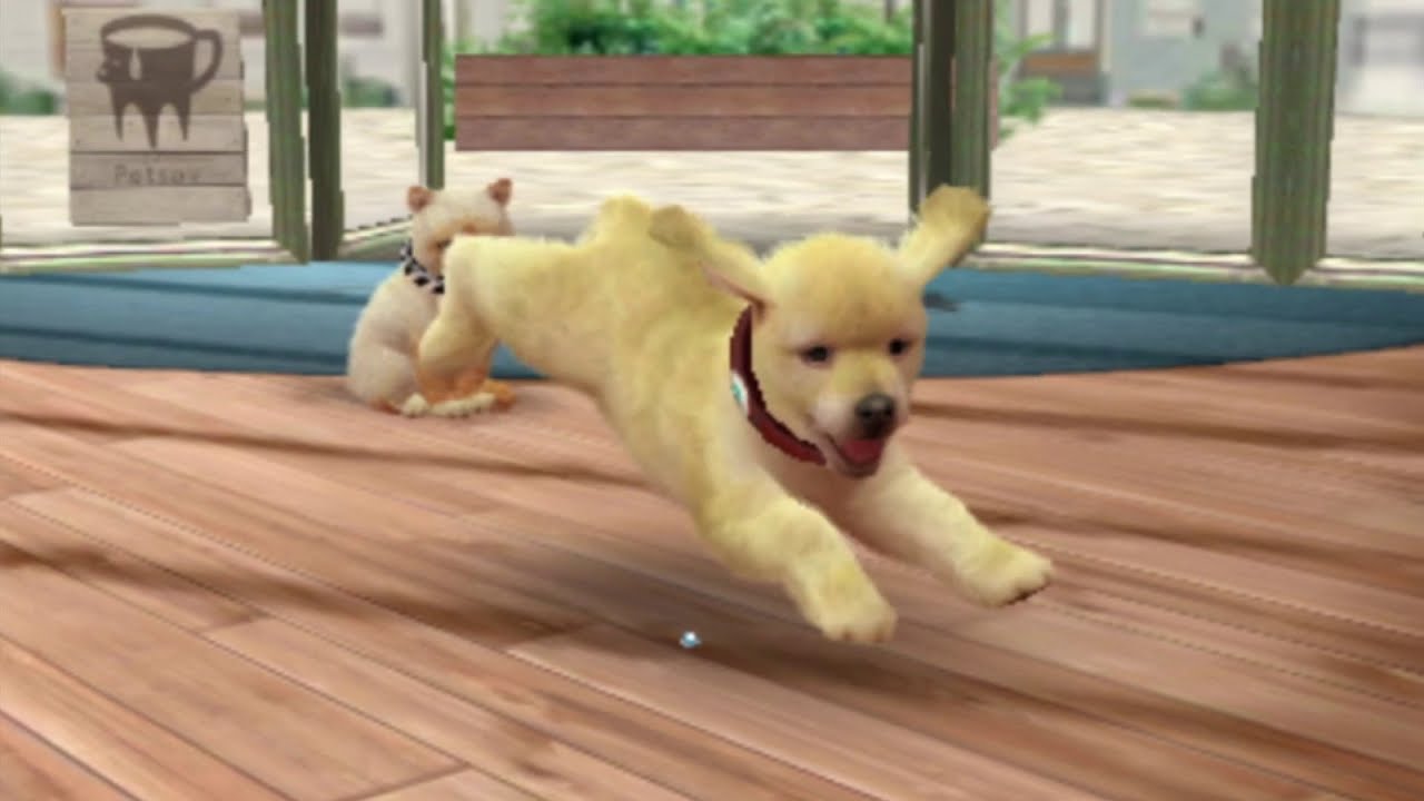 Nintendog Does Funny Dance, Cat Gets Annoyed At Her - Nintendogs+cats ...