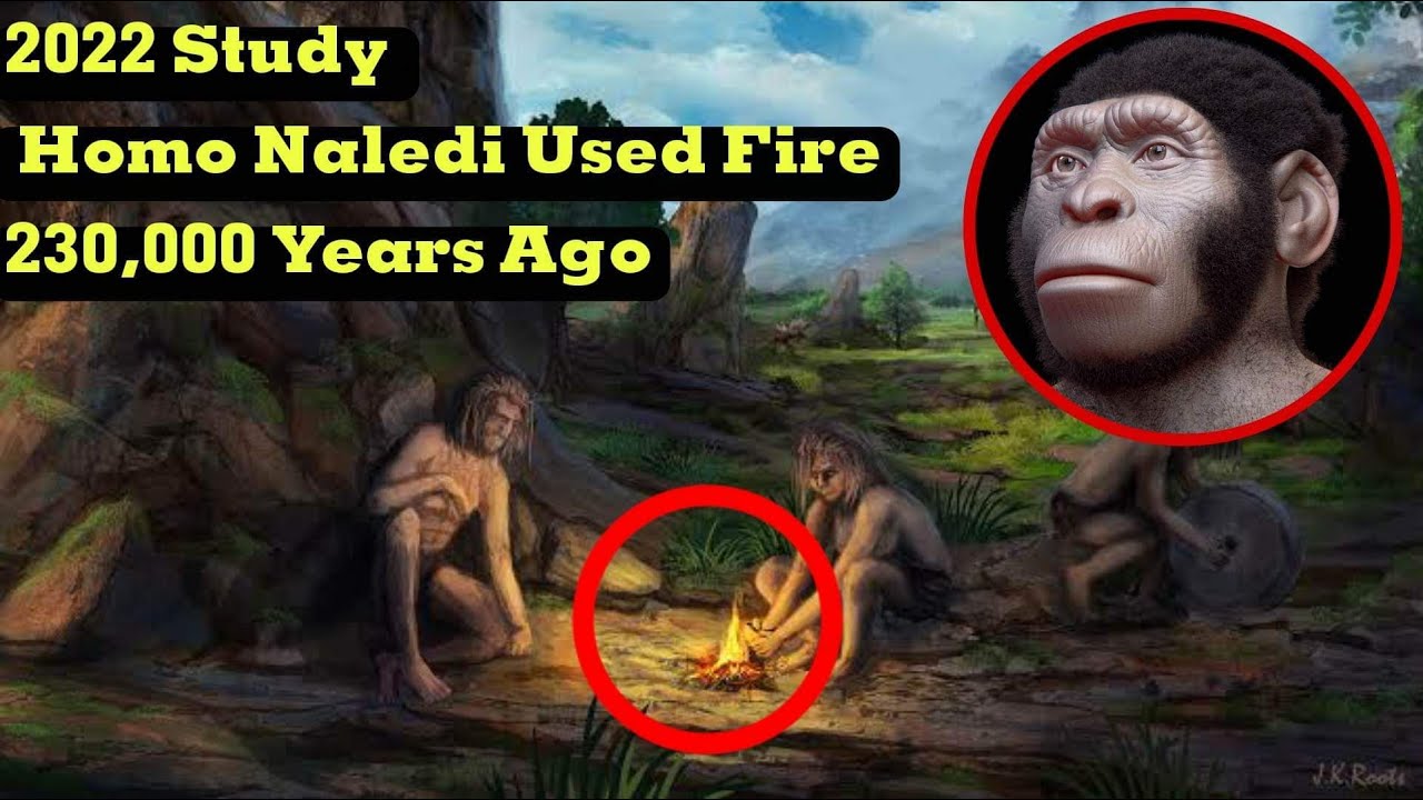 Shocking Evidence Homo Naledi Used Fire 230,000 Years Ago. - YouTube