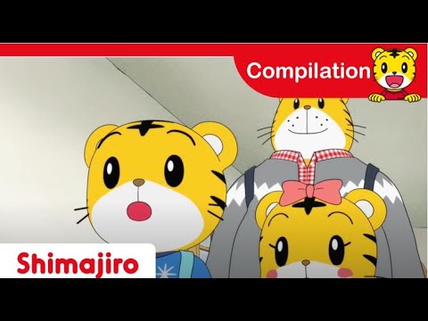 Learning with Shimajiro and friends | 24 minutes Compilation | Kids ...