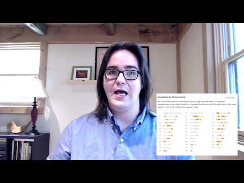The effects of inbreeding and COI on your pets [Expert Opinion]