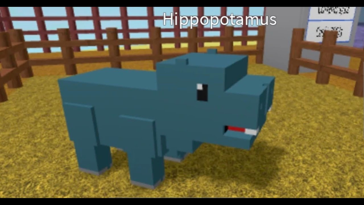How To Get The Hippopotamus Creatures Tycoon Roblox - YouTube