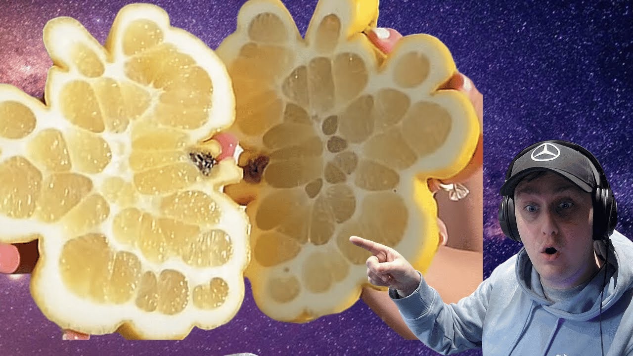MASSIVE MUTATED LEMON (Daily dose of internet) - YouTube