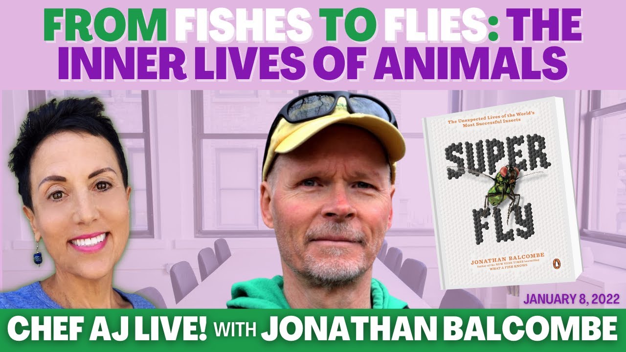 From Fishes to Flies: The Inner Lives of Animals | Chef AJ LIVE! with ...