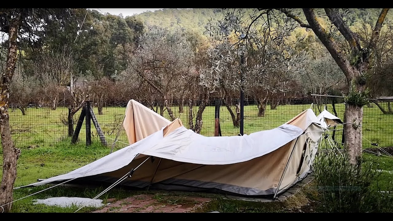 Snow Destroyed Tents. Funny Pets and Farm Animals. Active Camp Life ...