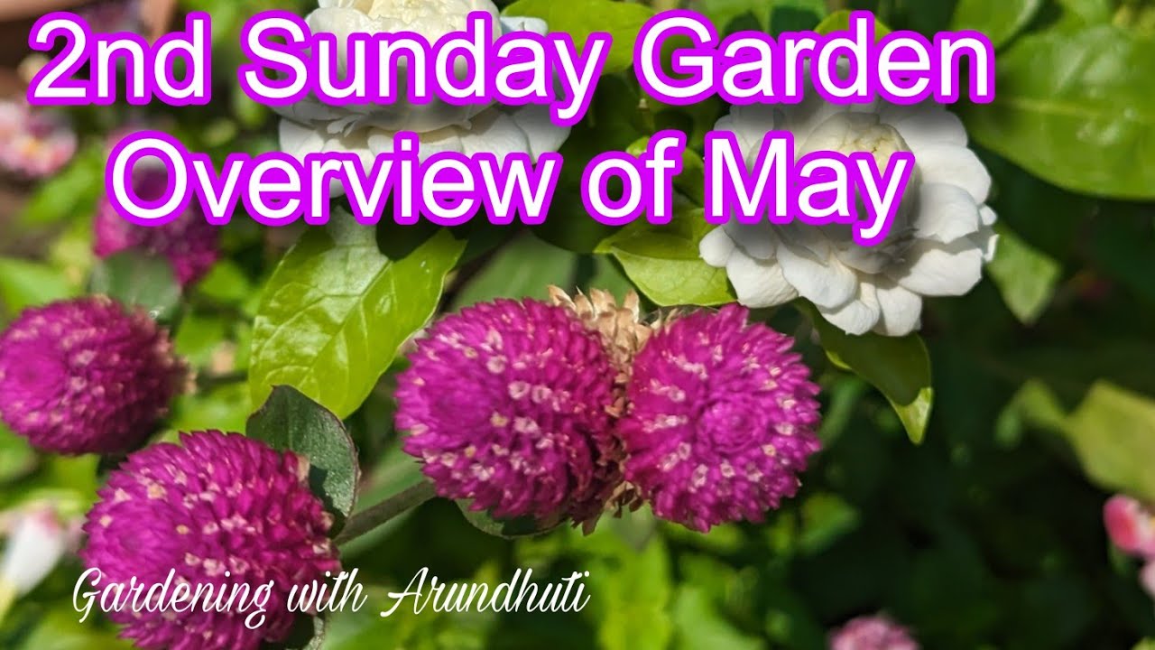 2nd Sunday Garden Overview of May 🌿 Happy Mother's Day ️ - YouTube