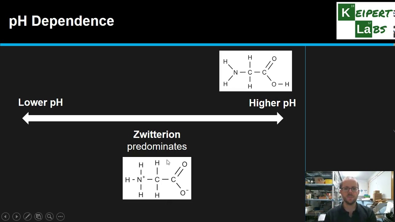 pH Dependence and the Isoelectric Point of Amino Acids - YouTube