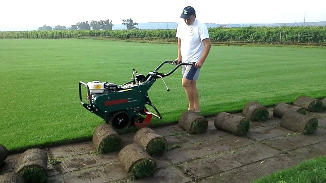 Gazon rulat - YouTube