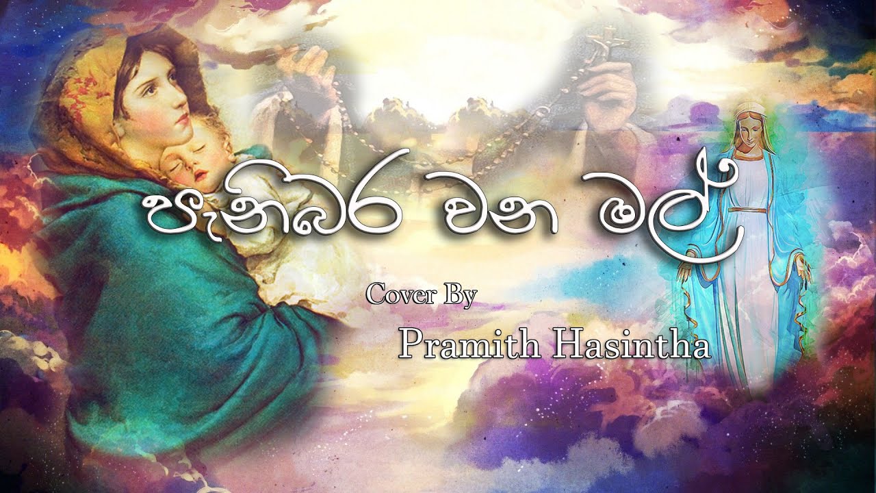Panibara Wana Mal | පැනිබර වන මල් Cover By Pramith Hasintha Chords ...