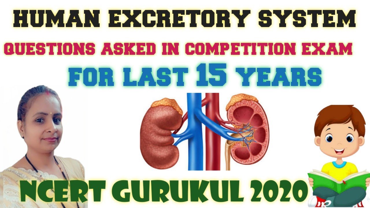 Human excretory system | life processes | class- 10 | ncert science ...