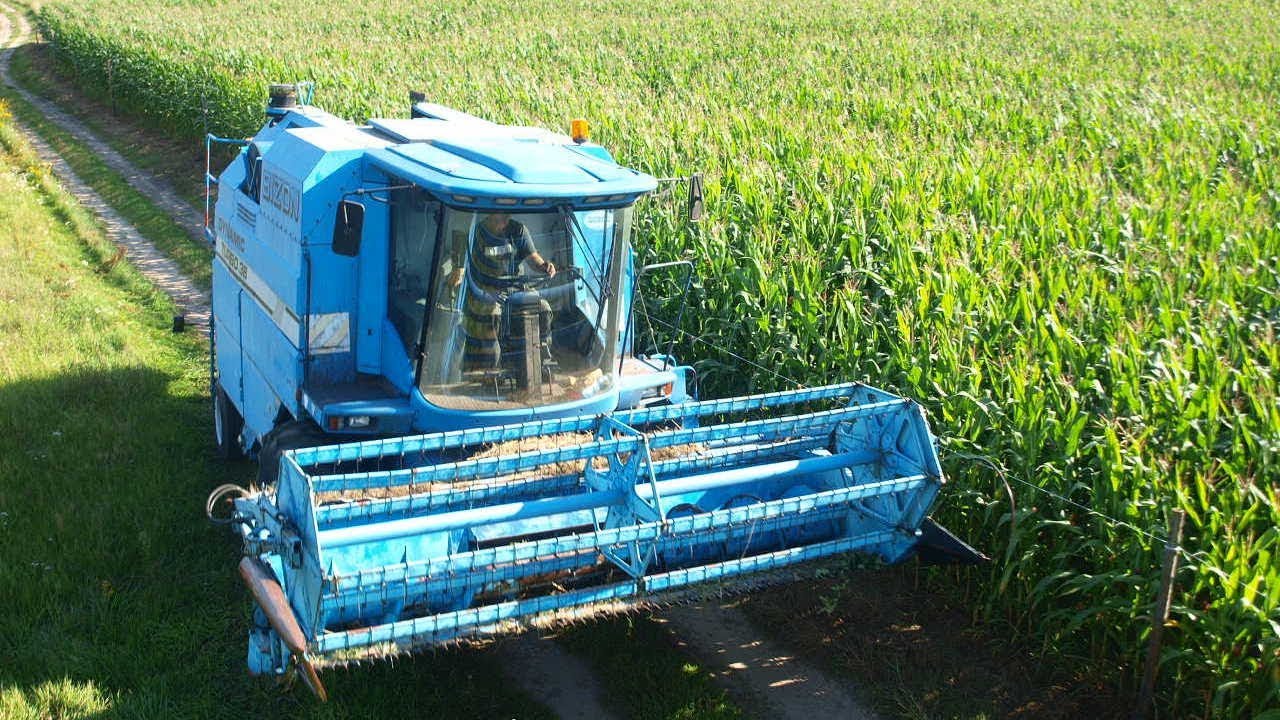 Najwyższy model bizona Bizon Dynamic Z115 Turbo 3B Bosal PREMIERA - YouTube