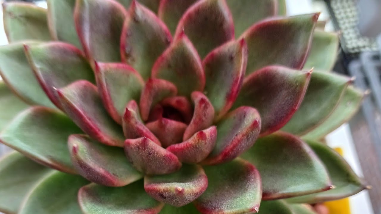 23.07.07비가 내리는 날 우린 수다를 - YouTube