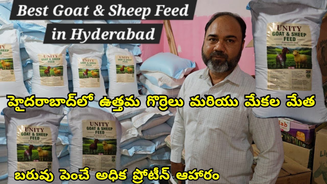 Best goat feed available in Hyderabad | unity goat & sheep feed high ...