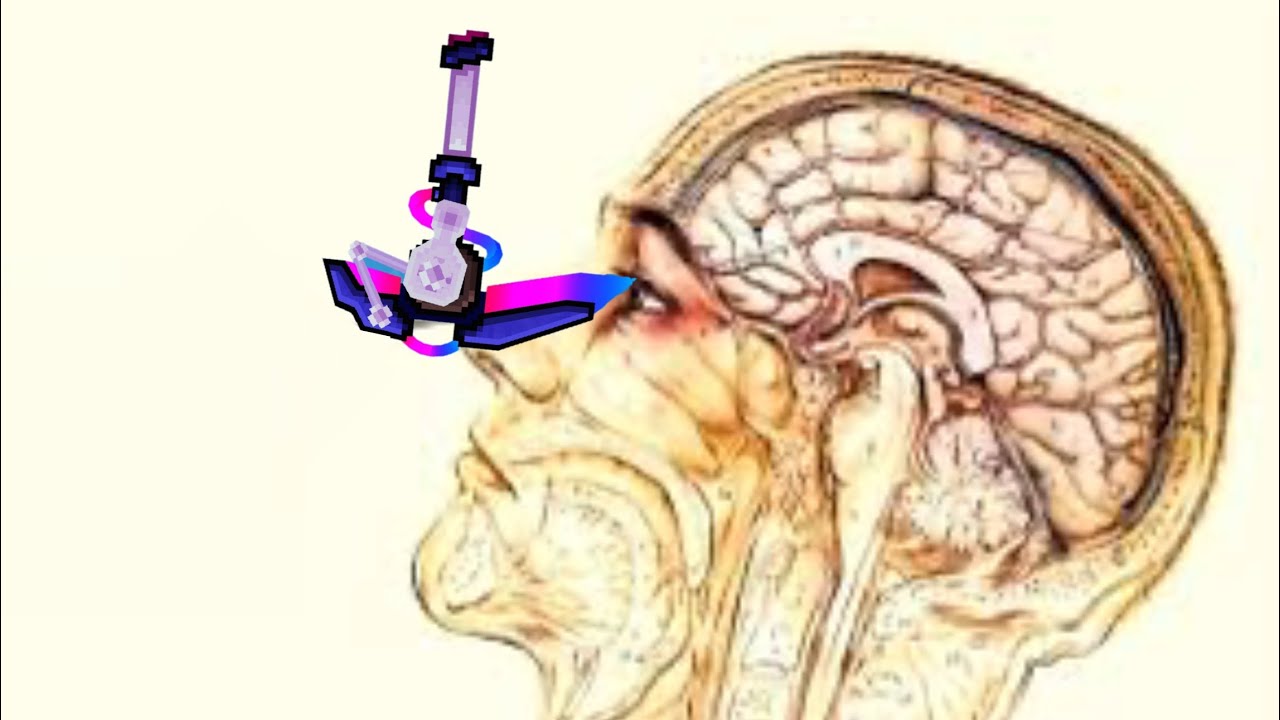 FPS destroyer completely blinds enemies ☠️ | Pixel Gun 3D - YouTube