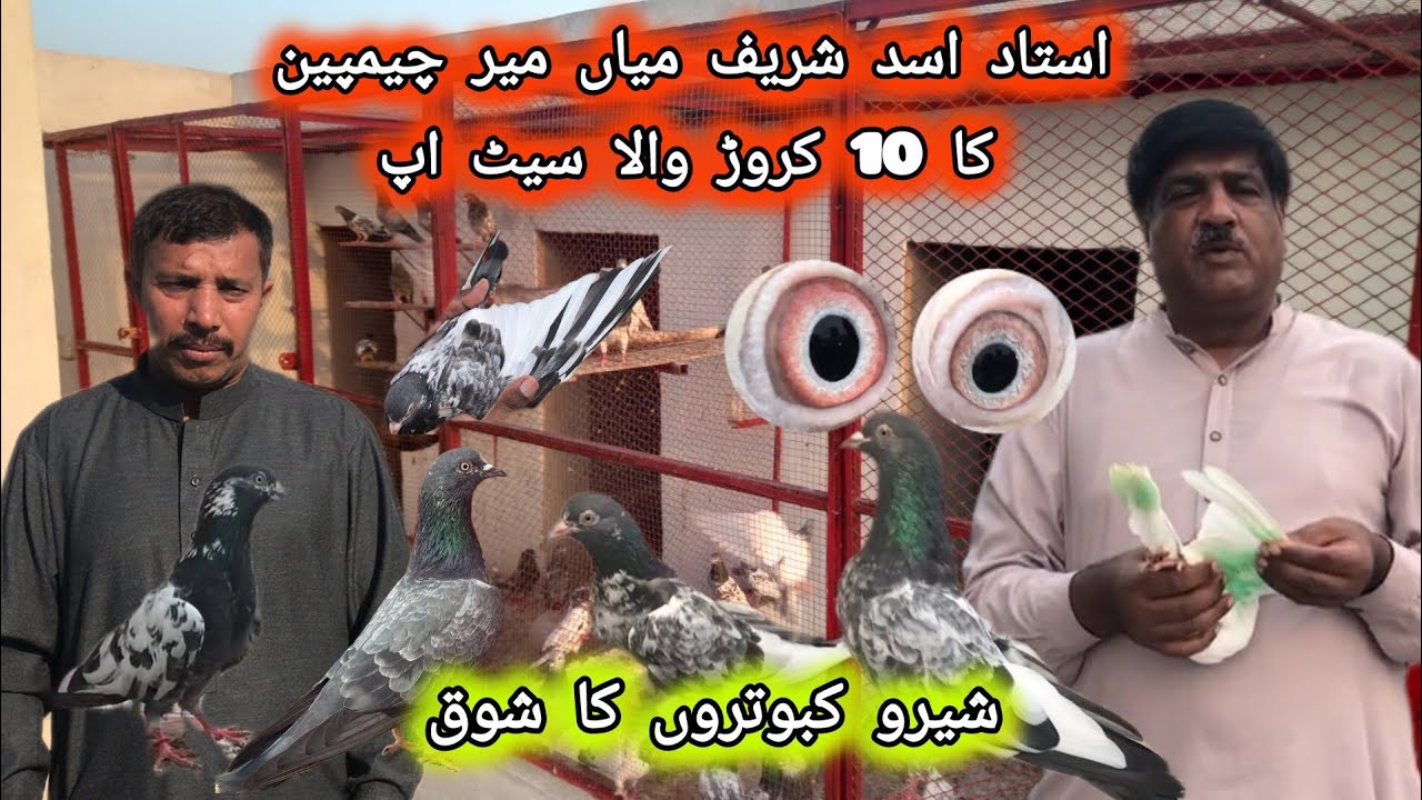 Ustad Asad Shareef 10 Crore Wala Set up ka shok kre🕊️// sheero ...