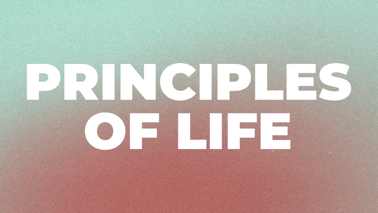Principles of Life - YouTube