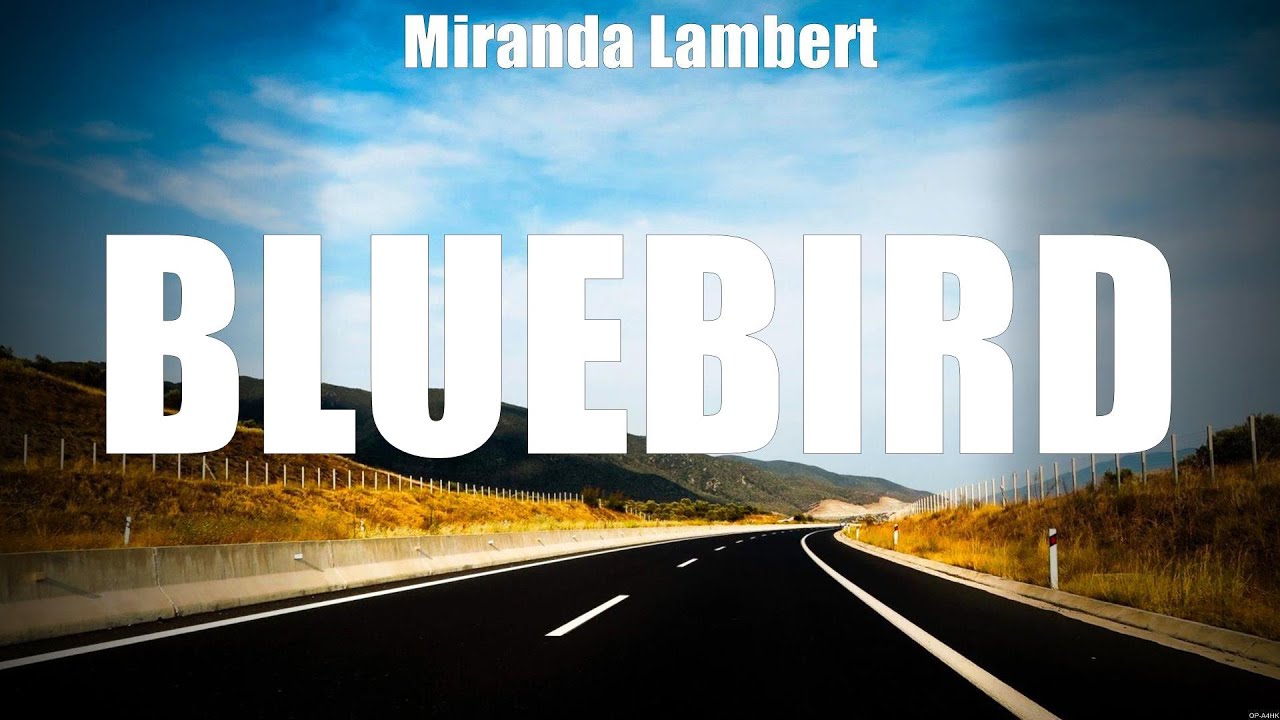 Miranda Lambert - Bluebird (Lyrics) AA, I Like Where This is Going, Be ...
