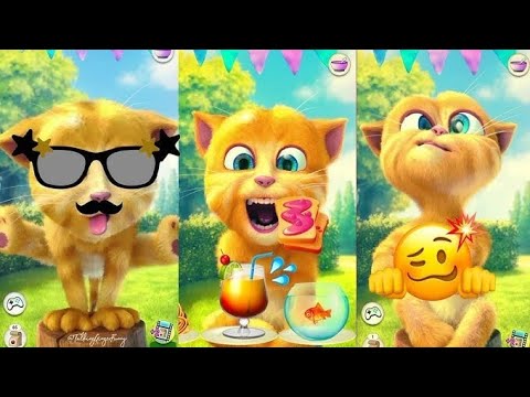 Talking ginger | morning fun | enjoyment | talkingcat | talkingtom ...