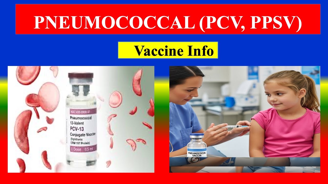 PNEUMOCOCCAL (PCV, PPSV) Vaccine - drug class, Brandes ,Precautions ...
