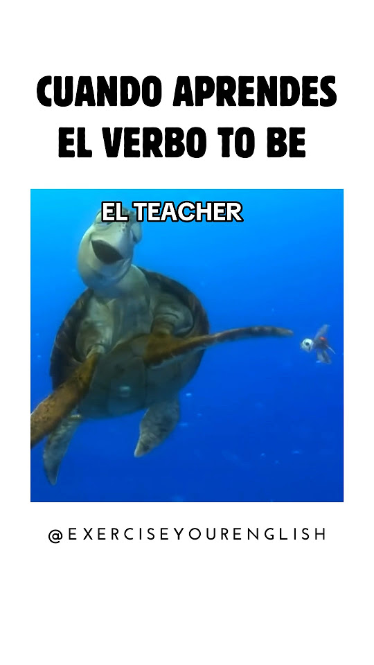 EL VERBO TO BE #shortvideo #english #learning #funny #memes #humor # ...