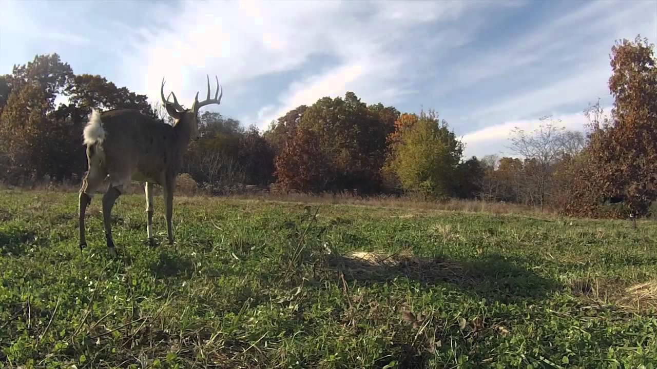 SBMW1414 "EHD in the Midwest" - YouTube