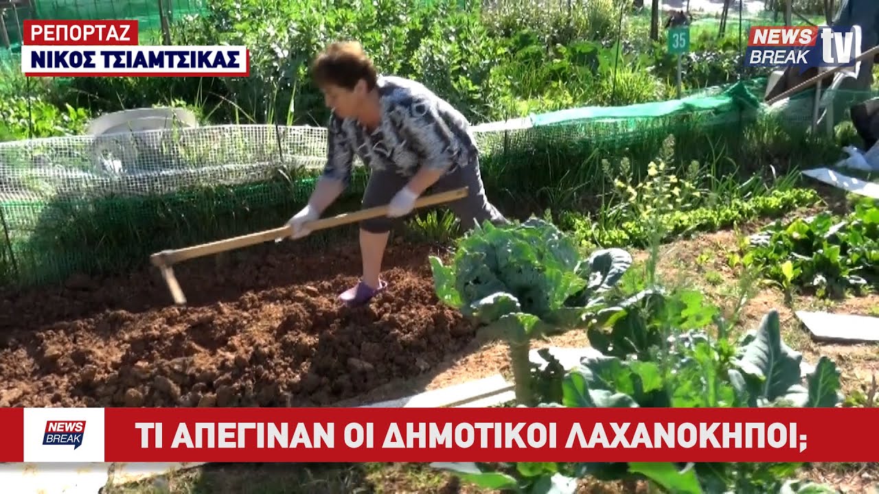 Τι απέγιναν οι δημοτικοί λαχανόκηποι; - YouTube