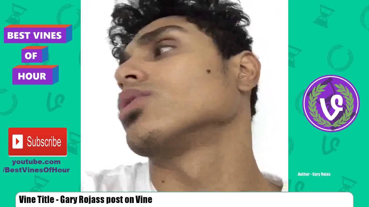 Best Vines of Hour #13 | 07 October 2015 | Top 20 Vine Compilation by ...