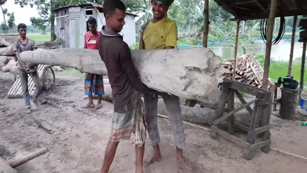 Chambol Tree Long Size Cutting Day & Night at Sawmill।Cutting Chambol ...