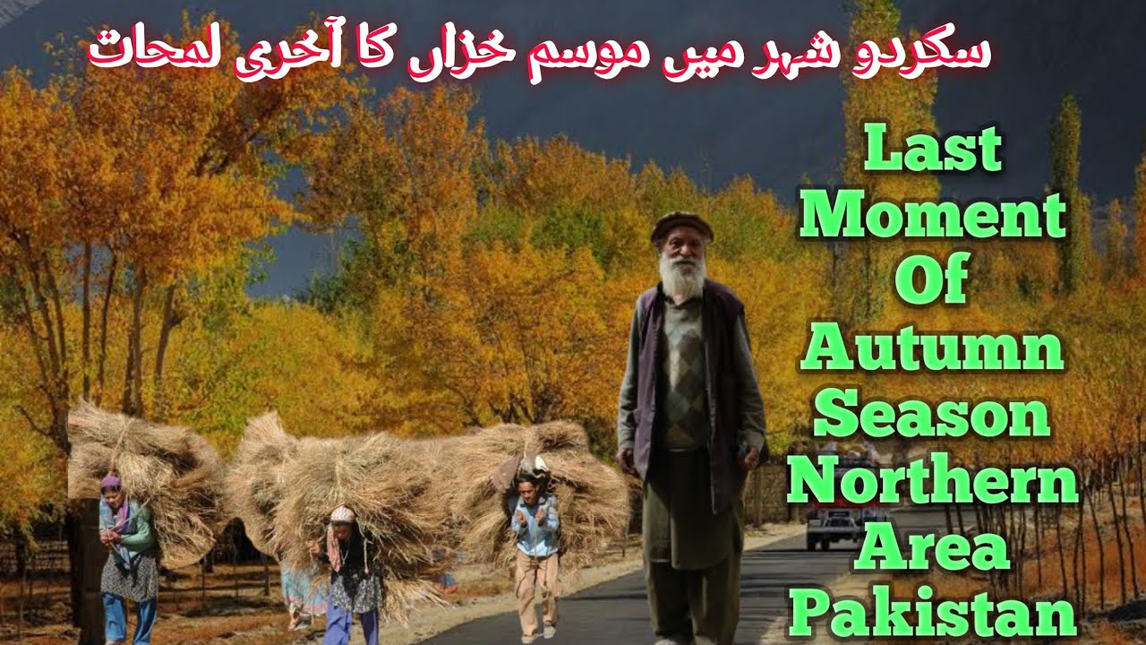Last Moment Of Autum Season Of Northen Area Pakistan - YouTube
