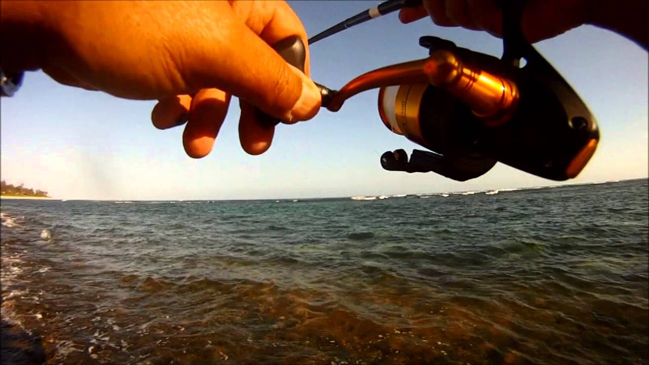 Fishing Hawaii August 2015 Catch and Release - YouTube