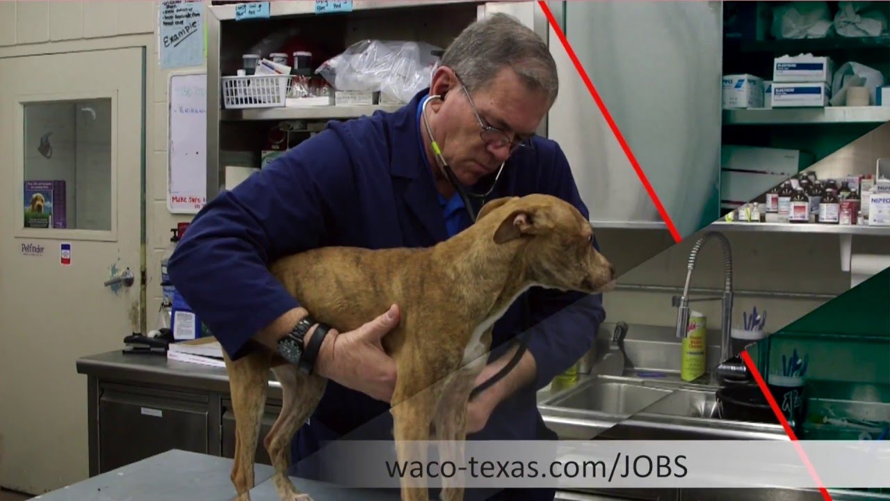 City of Waco: Work for Waco, Impact the Future! - YouTube