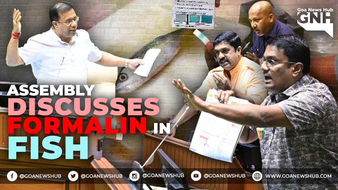 ASSEMBLY DISCUSSES FORMALIN IN FISH - YouTube