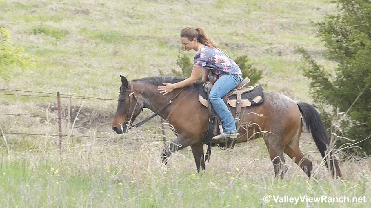 Jessie - trail riding - Valley View Ranch - YouTube