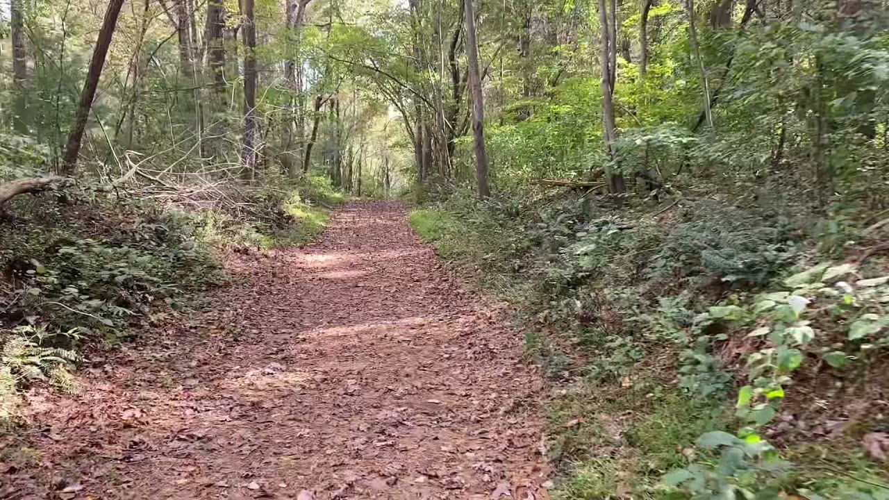 Logging Road Trail - Prettyboy Reservoir - YouTube
