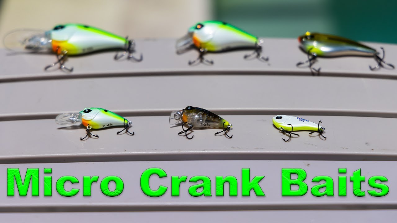 NEW Googan Squad MICRO Crank Baits Review! (UNDERWATER FOOTAGE) - YouTube