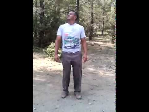 Hunharca Dans eden Adam...