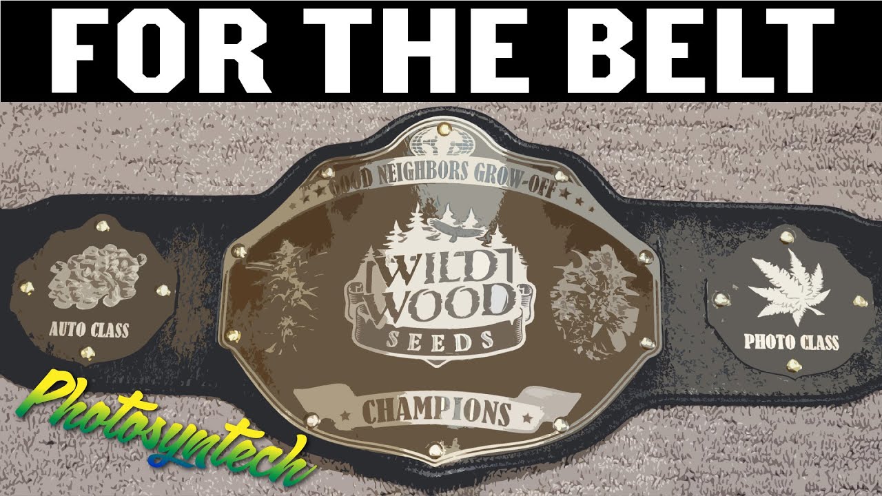 Wildwood Good Neighbour Grow Off Winners! With Highigan, Chad Westport ...