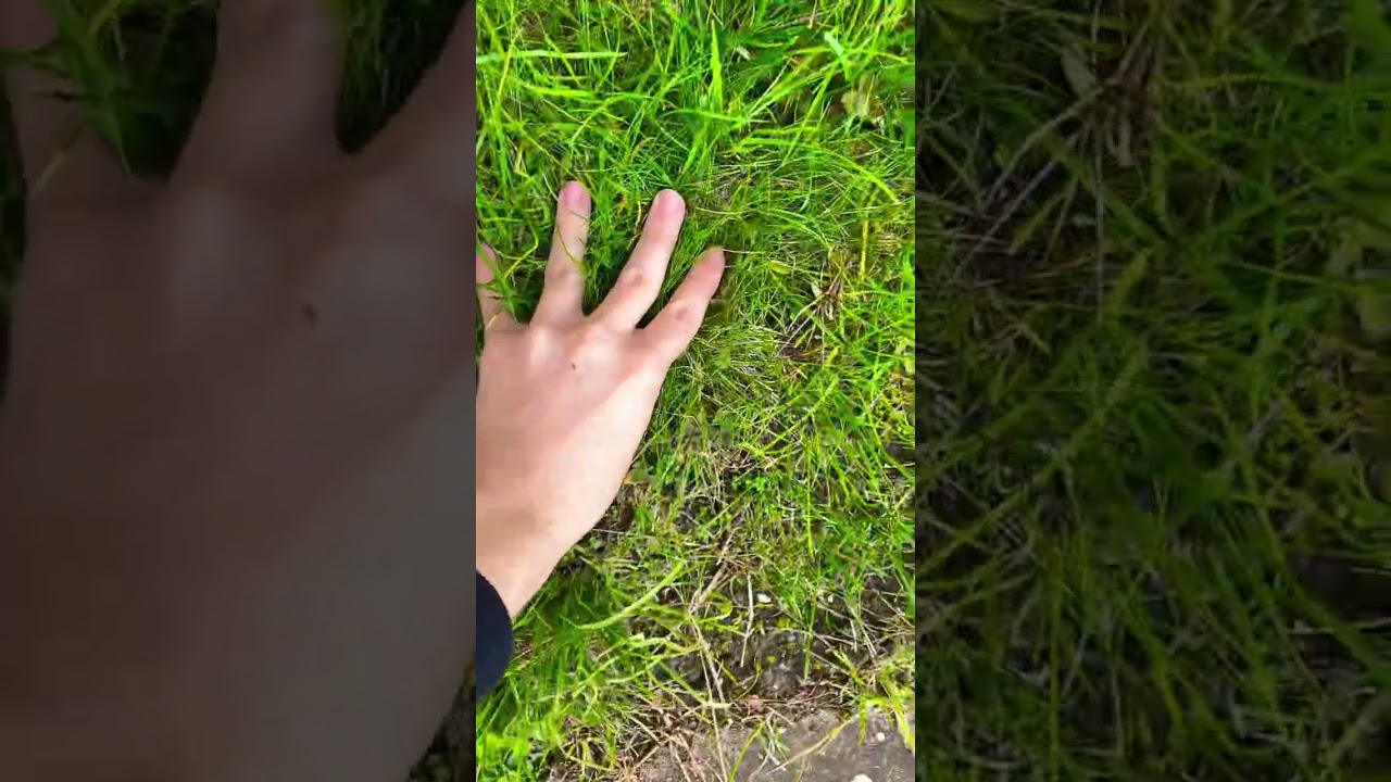 Gamer Touched Grass Youtube