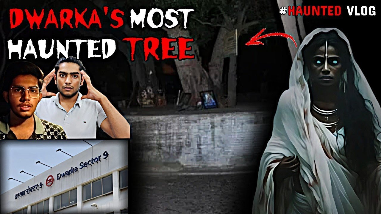 Delhi's Most Haunted Tree Vlog😨 || Haunted vlog - YouTube