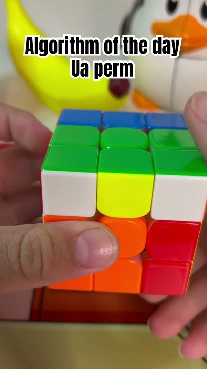 Algorithm of the Day Ua Perm - YouTube