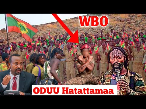 ODUU Hatattamaa Jeneral Marroon Waraana PP Fi Fanoo Wallaggatti daaraa ...