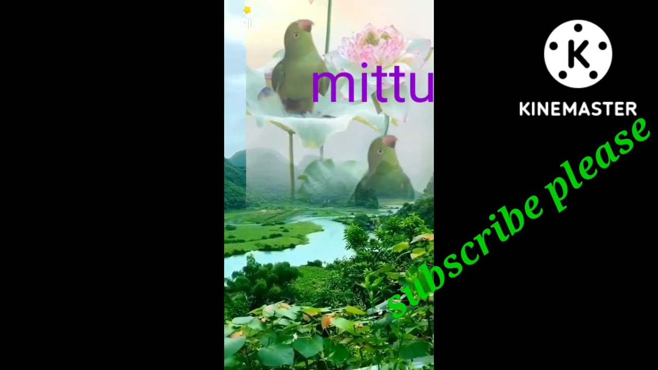 mitu mitu love 💕💕 mituu psad Bashir sur.. - YouTube