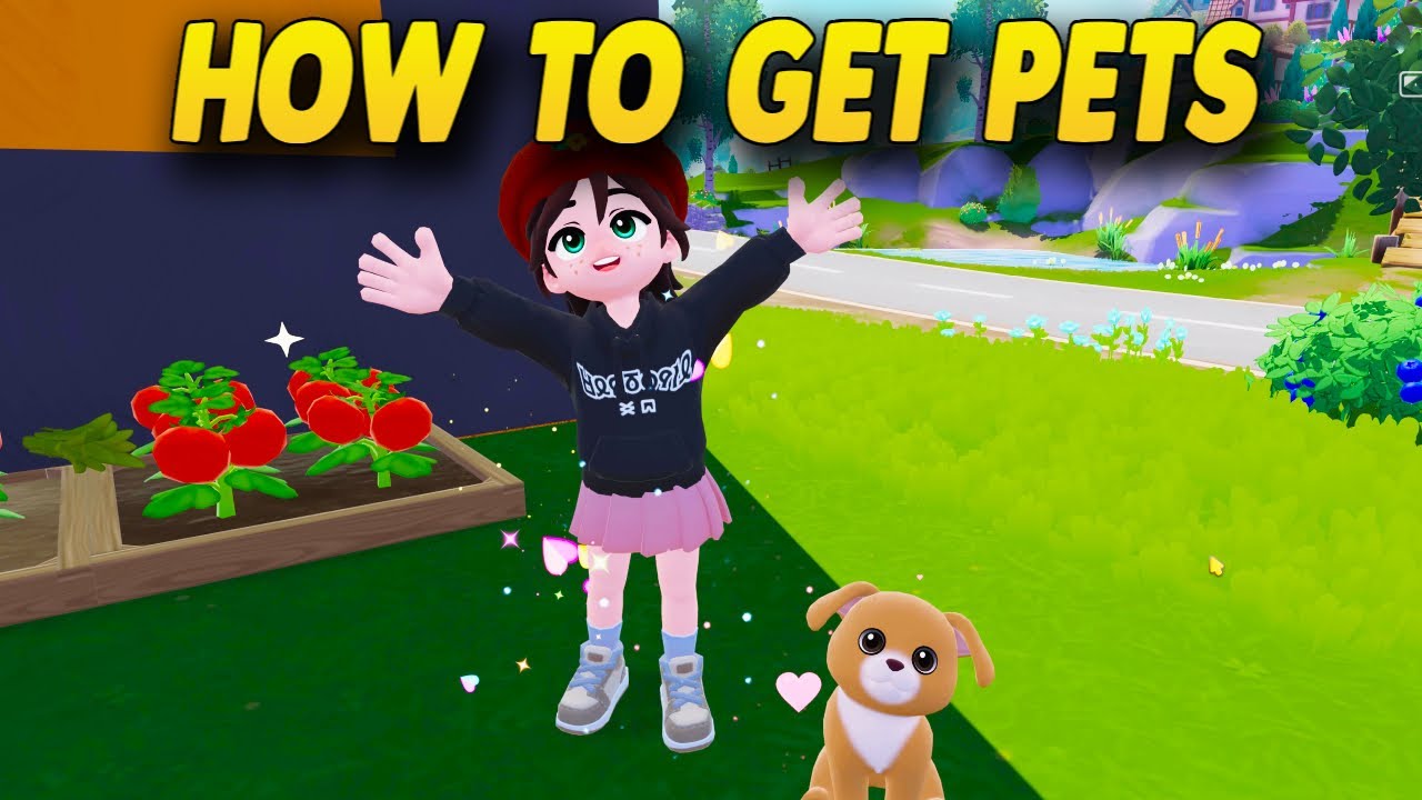Heartopia How To Get Pets - Simple Guide - YouTube