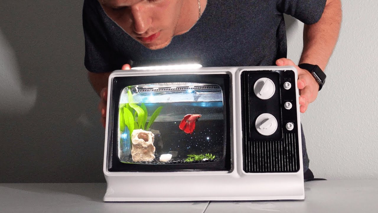 I Turned an Old TV Into a Fish Tank - YouTube