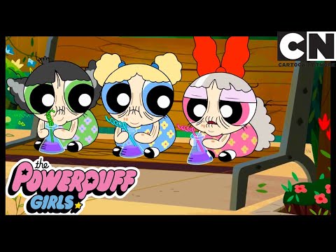Okulun Havalı Nineleri | Powerpuff Girls Türkçe | çizgi film | Cartoon Network