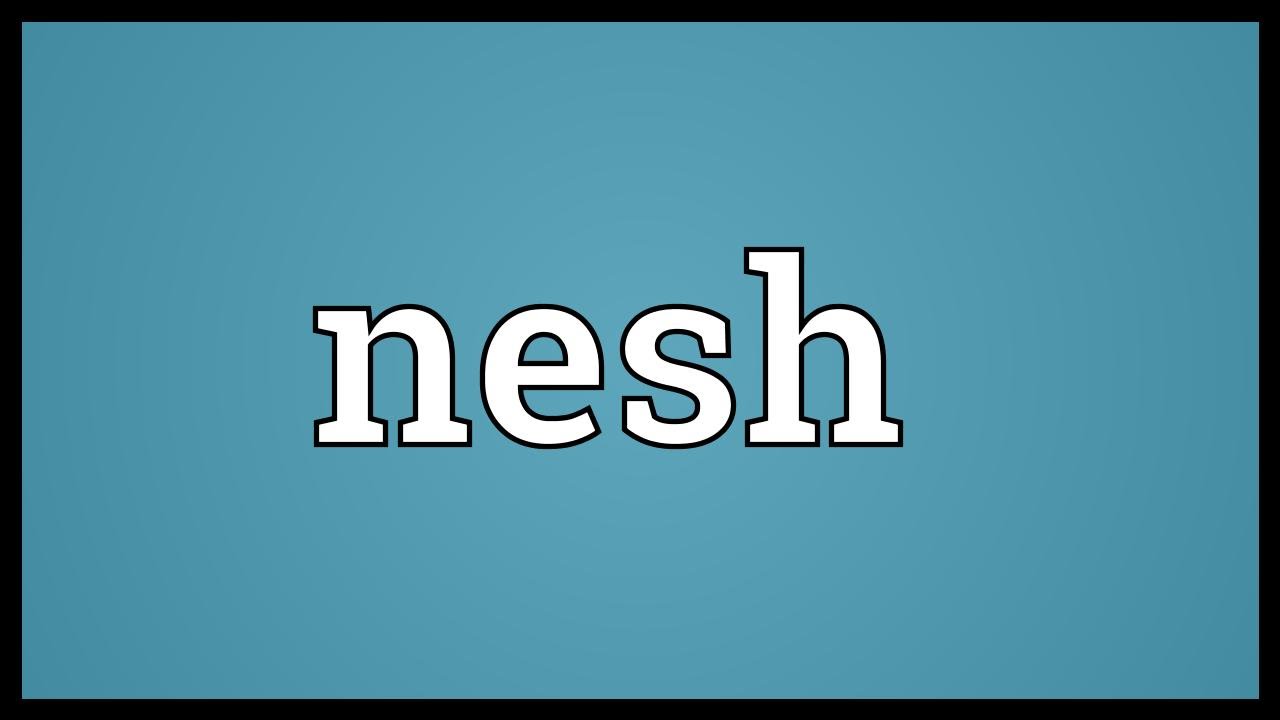 Nesh Meaning - YouTube