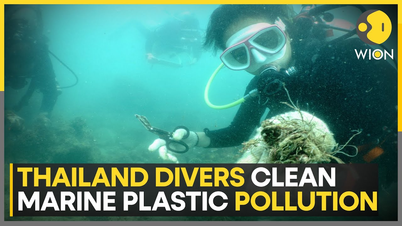 Thailand scuba divers clean 'ghost gear' from Oceans | World News | WION - YouTube