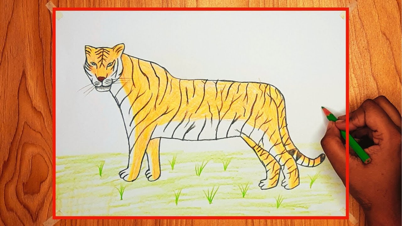 Step-by-Step Tiger Drawing Tutorial | Learn How to Draw a Realistic ...