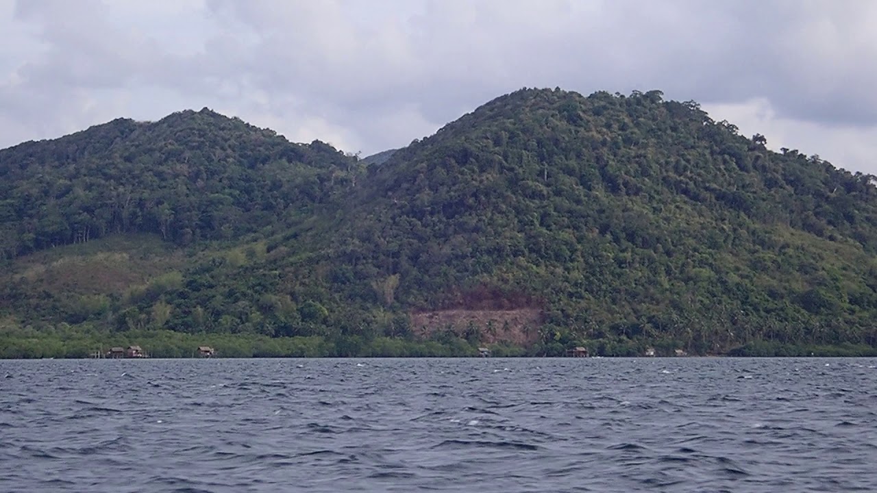 Kaingin farming system, a threat to forest ecosystem - YouTube