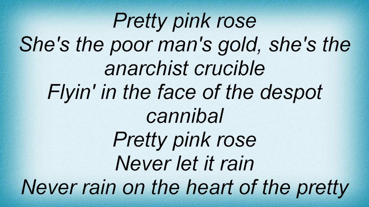 Adrian Belew - Pretty Pink Rose Lyrics - YouTube