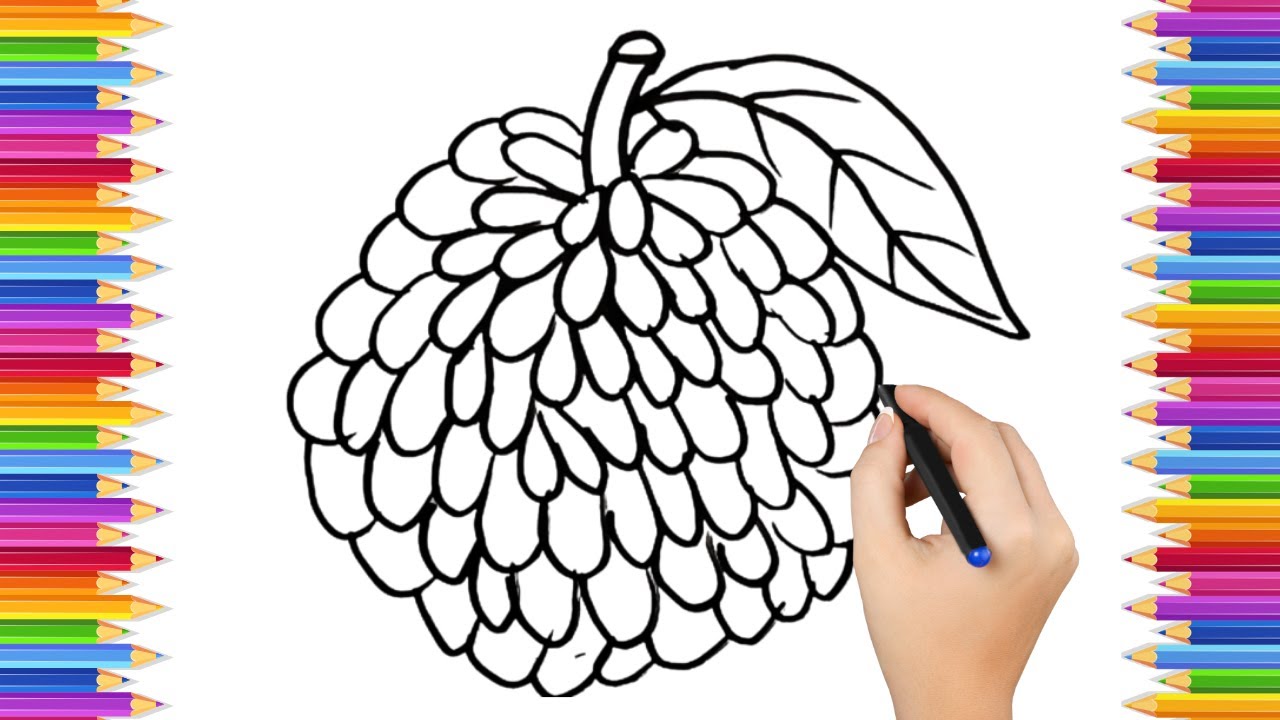 How To Draw cute Sugar apple Drawing, Painting & Coloring For Kids and ...